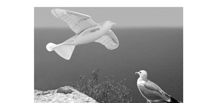 Development of Bionic UAVs Cluster Technology